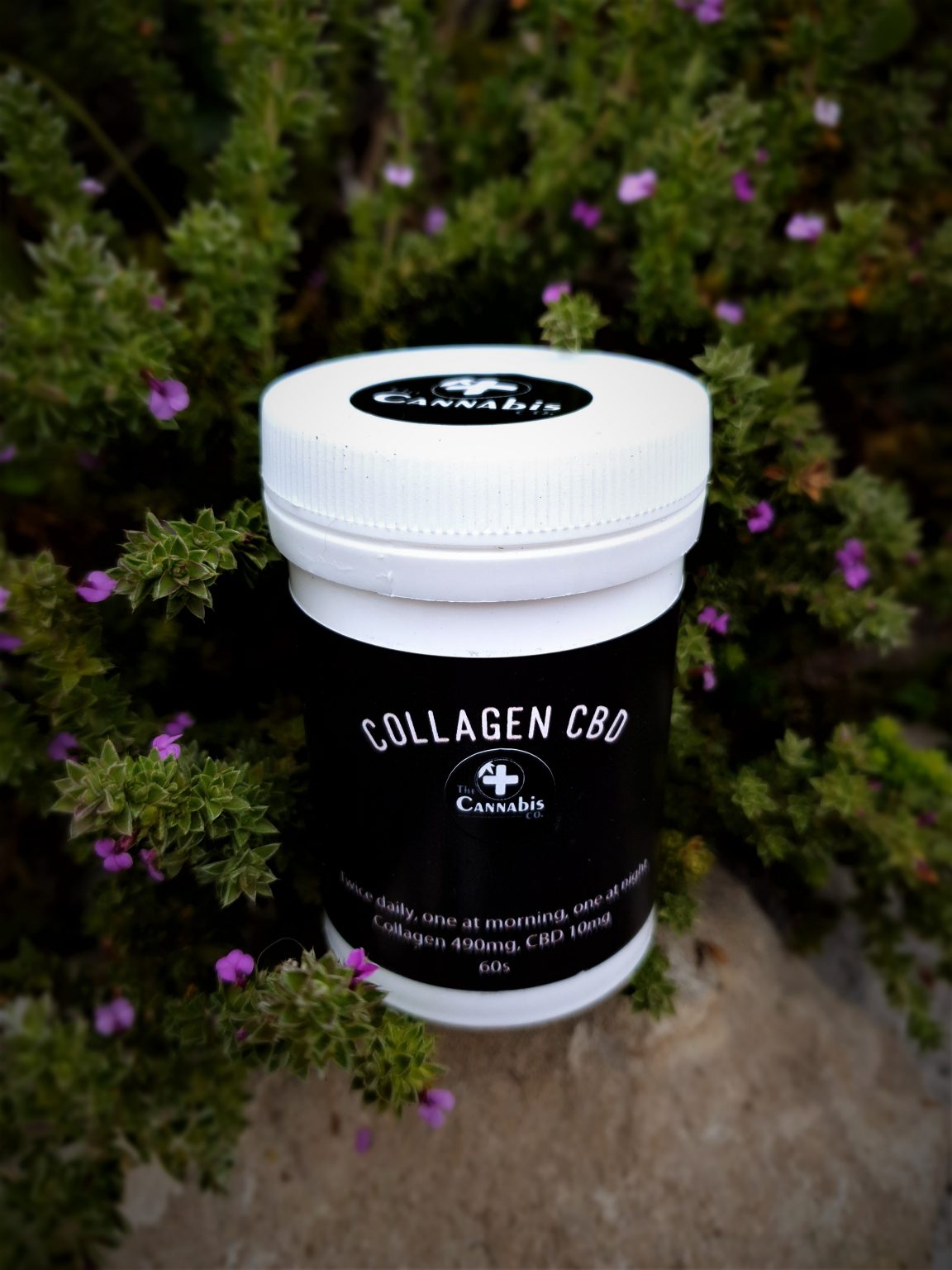 Collagen CBD – The Cannabis Co.